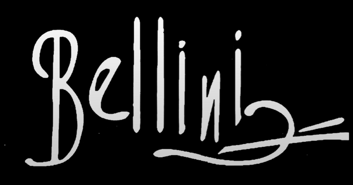 Acerca de nosotros – Bellini VIP